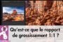 Qu’est-ce que le rapport de grossissement 1:1