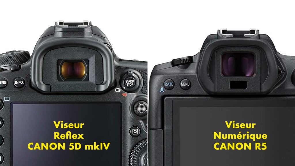 Différences entre le viseur reflex et le viseur numérique viseur