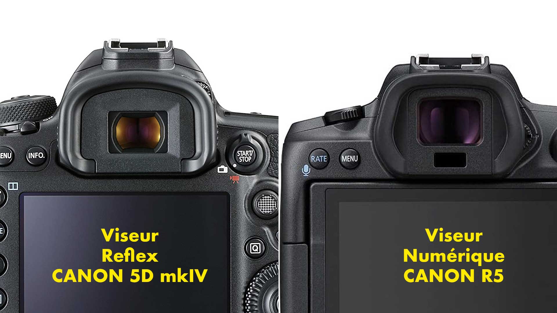 Différences entre le viseur reflex et le viseur numérique viseur