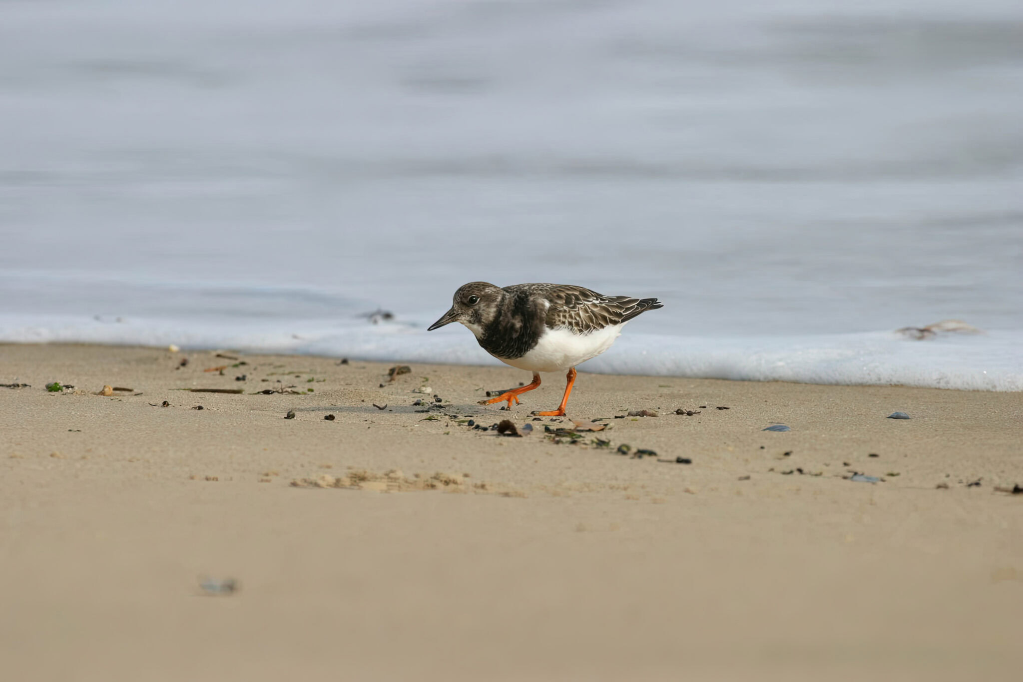 Comment et pourquoi utiliser le mode rafale en photo